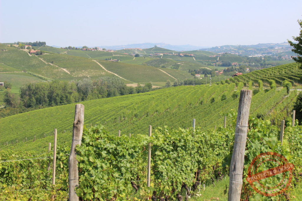 Perché il Piemonte? - Enjoy Piedmont